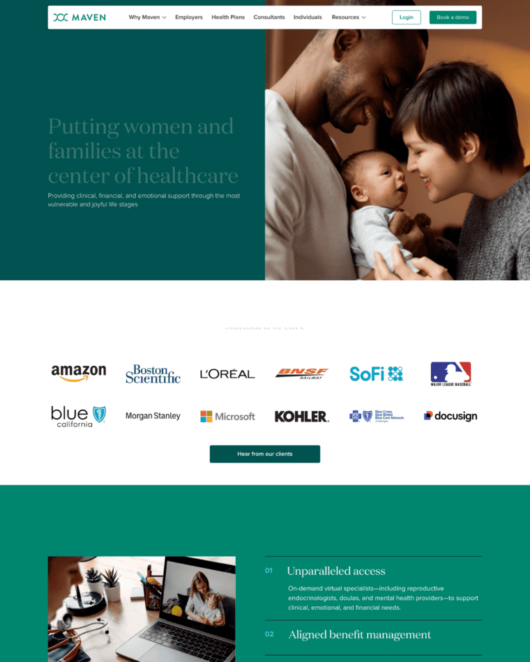 4 SaaS landing page examples using Domaine Display font - SaaS Landing Page